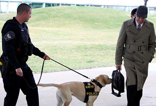 Law Enforcement and Security | DOD CIVILIAN CAREERS